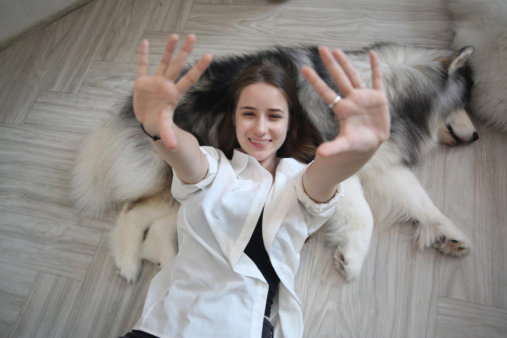 Ce înseamnă când visezi câine alb și ce indică visul - Năvălitorul